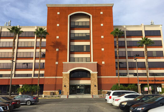 Management Team - BH Properties